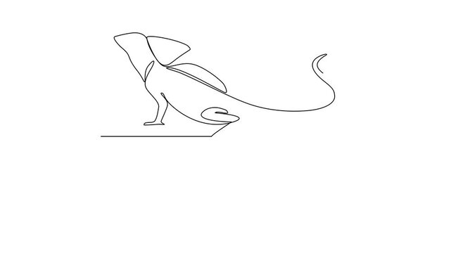 "Brown Basilisk" Images – Browse 264 Stock Photos, Vectors, and Video ...