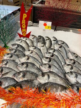 Imágenes de "Dorade Box": descubre bancos de fotos, ilustraciones ...