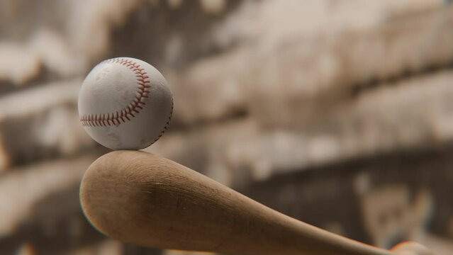 "Wooden Bat" Images – Browse 451 Stock Photos, Vectors, and Video ...