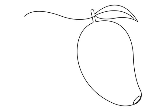 Mango Line Drawing Images – Browse 8,338 Stock Photos, Vectors, and ...