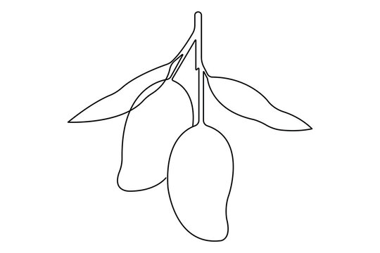 Mango Line Drawing Images – Browse 8,192 Stock Photos, Vectors, and ...