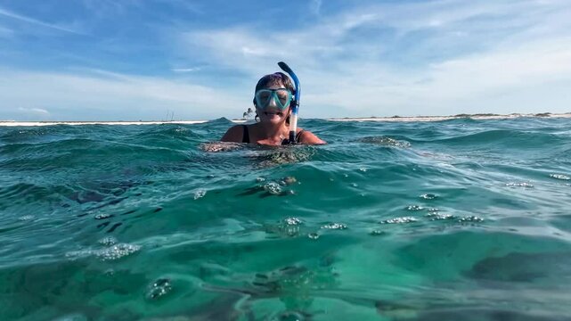 "Split View" Images – Browse 1,389 Stock Photos, Vectors, and Video ...