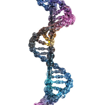 Dna Model Images – Browse 115,228 Stock Photos, Vectors, and Video ...