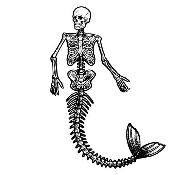 Skeleton Hand Drawing Images – Browse 129,012 Stock Photos, Vectors ...