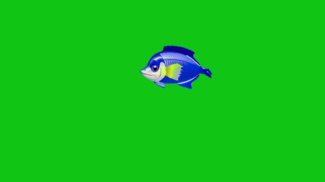 Fish Green Screen Images – Browse 5,032 Stock Photos, Vectors, and ...