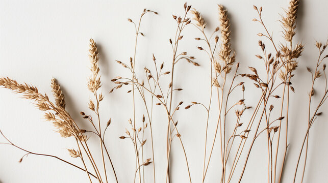 "Grass Stalks" Images – Browse 211 Stock Photos, Vectors, and Video ...