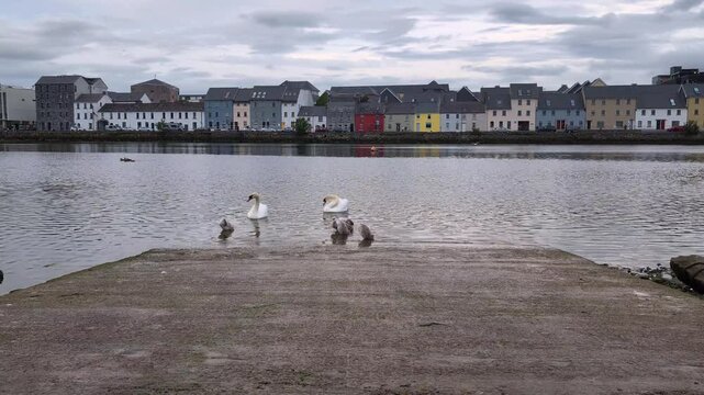 "Claddagh Ring" Images – Browse 1,634 Stock Photos, Vectors, and Video ...