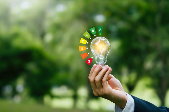 The Environment stock photos, royalty-free images, vectors, video ...