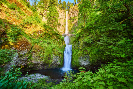 "Multnomah Falls" Images – Browse 2,269 Stock Photos, Vectors, and ...