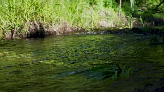 "Small Stream" Images – Browse 1,655 Stock Photos, Vectors, and Video ...