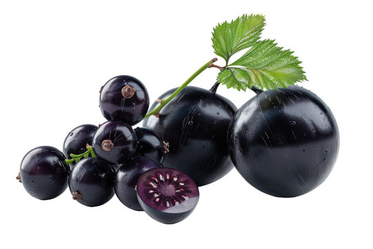 "Black Currant" Images – Browse 78,864 Stock Photos, Vectors, and Video ...