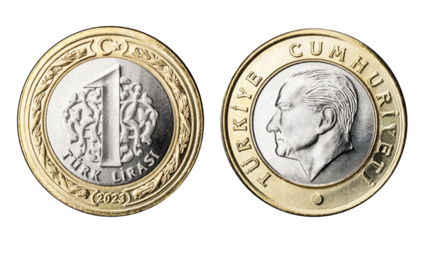 100 Turkish Lira PNGs – Transparent Background Images | PikWizard