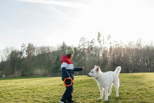 "Dog Obedience" Images – Browse 11,771 Stock Photos, Vectors, and Video ...