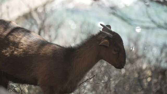 「Boc」の写真素材 | 718件の無料イラスト画像 | Adobe Stock