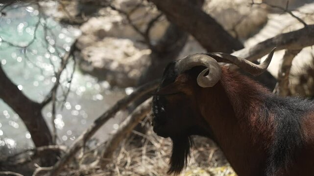 「Boc」の写真素材 | 718件の無料イラスト画像 | Adobe Stock