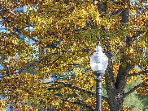 "Lamp Post" Images – Browse 831,570 Stock Photos, Vectors, and Video ...