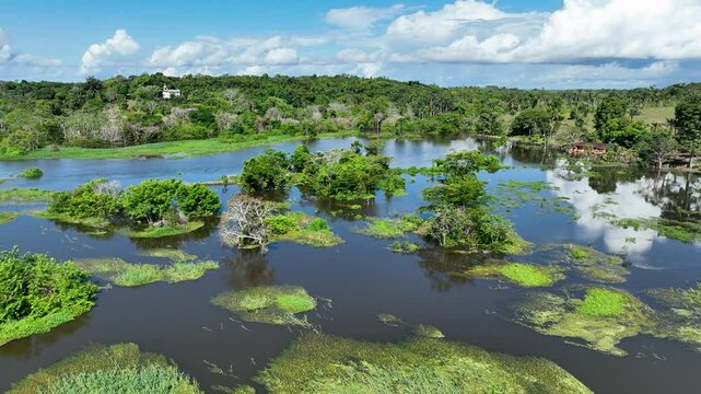 "Amazon River" Images – Browse 9,789 Stock Photos, Vectors, and Video ...