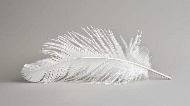 "Fluffy Feather" Images – Browse 227 Stock Photos, Vectors, and Video ...