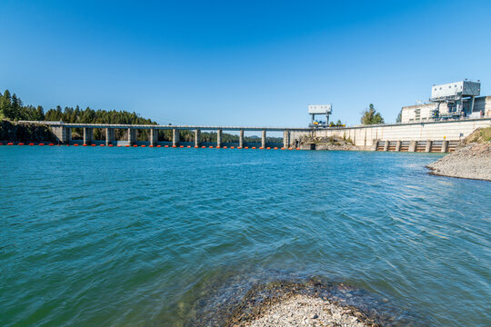 "Bonner - Images et vidéos libres de droits | Adobe Stock