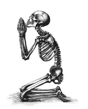 "Skeleton Illustration" Images – Browse 1,546 Stock Photos, Vectors ...