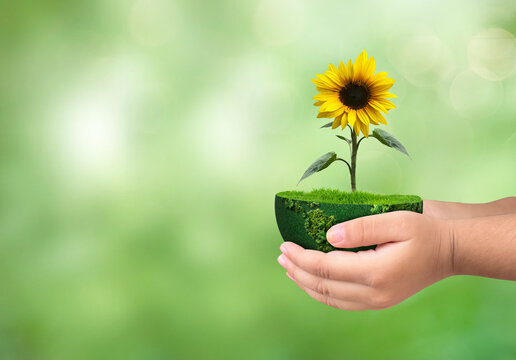 DOERS photos, images, assets | Adobe Stock