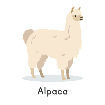 "Alpaca Cartoon" Images – Browse 475 Stock Photos, Vectors, and Video ...