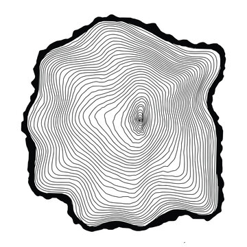 "Tree Rings Pattern" Images – Browse 283 Stock Photos, Vectors, and ...