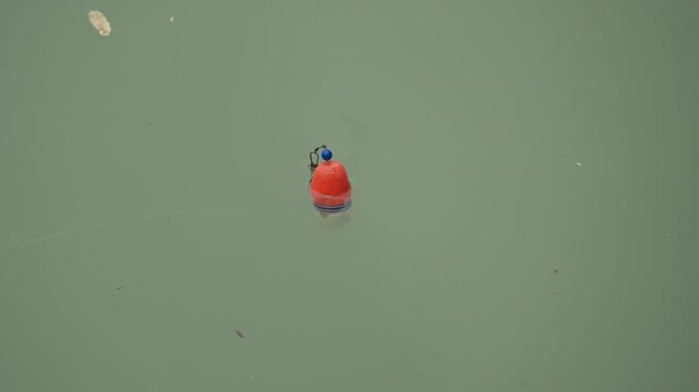 「Bouy」の写真素材 | 3,643件の無料イラスト画像 | Adobe Stock