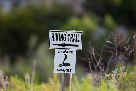 Beware Of Snakes Images – Browse 1,198 Stock Photos, Vectors, and Video ...