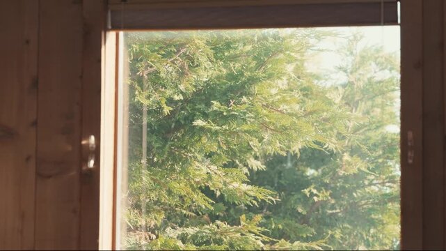 Cabin Window Images – Browse 240,172 Stock Photos, Vectors, and Video ...