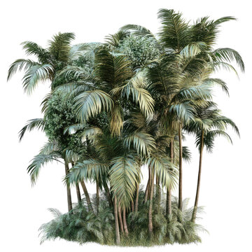 Palm Tree Cutout Images – Browse 38,568 Stock Photos, Vectors, and ...