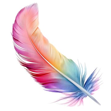 "Rainbow Feather" Images – Browse 123 Stock Photos, Vectors, and Video ...