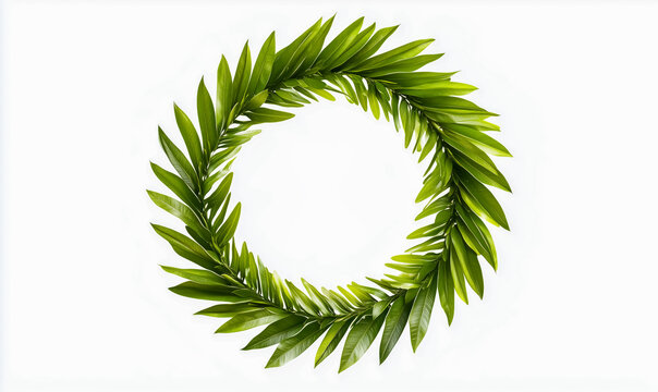 Hawaiian Lei Border Images – Browse 2,050 Stock Photos, Vectors, and ...