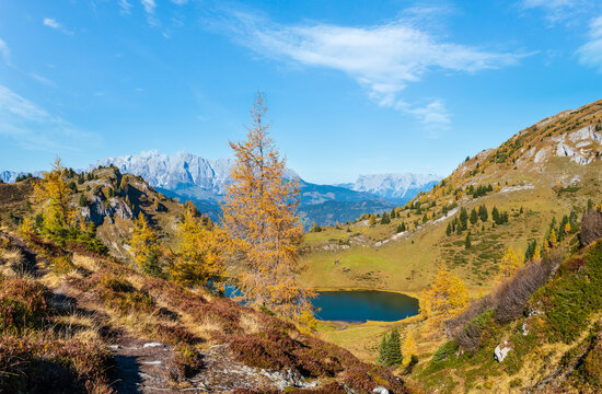 รูปภาพ"Grosser – เลือกดูภาพถ่ายสต็อก เวกเตอร์ และวิดีโอ7,749 | Adobe Stock