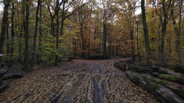 "Split Road" Images – Browse 222 Stock Photos, Vectors, and Video ...