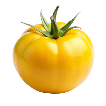 "Yellow Tomato" Images – Browse 2,440 Stock Photos, Vectors, and Video ...