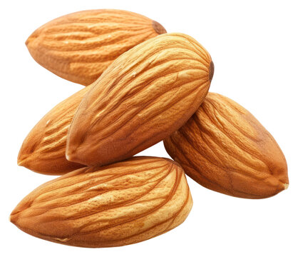 "Isolated White Background" Images – Browse 11,488 Stock Photos ...