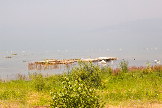 "Turkey Country" Images – Browse 14,060 Stock Photos, Vectors, and ...