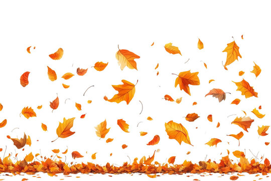 "Falling Leaves" Images – Browse 91,964 Stock Photos, Vectors, and ...