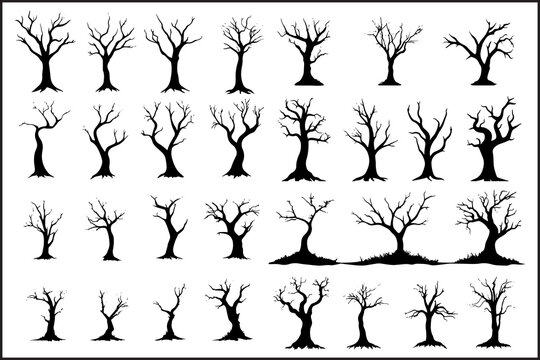 "Black Tree" Images – Browse 2,374 Stock Photos, Vectors, and Video ...