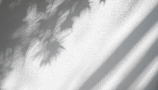 Drop Shadow Images – Browse 199,847 Stock Photos, Vectors, and Video ...