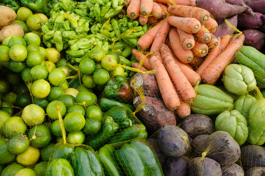 「Iskus」の写真素材 | 8,734件の無料イラスト画像 | Adobe Stock