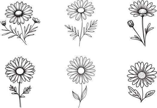 Single Flower Drawing Images – Browse 402,054 Stock Photos, Vectors ...