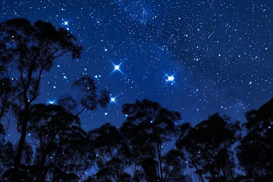 "Southern Cross" Images – Browse 1,996 Stock Photos, Vectors, and Video ...