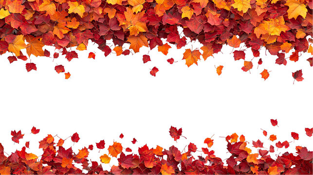 Autumn Leaves Border Images – Browse 366,926 Stock Photos, Vectors, and ...