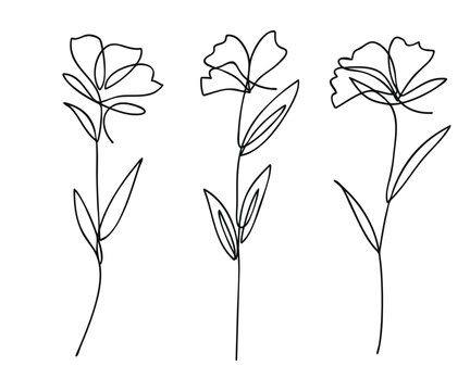 Single Flower Drawing Images – Browse 462,511 Stock Photos, Vectors ...