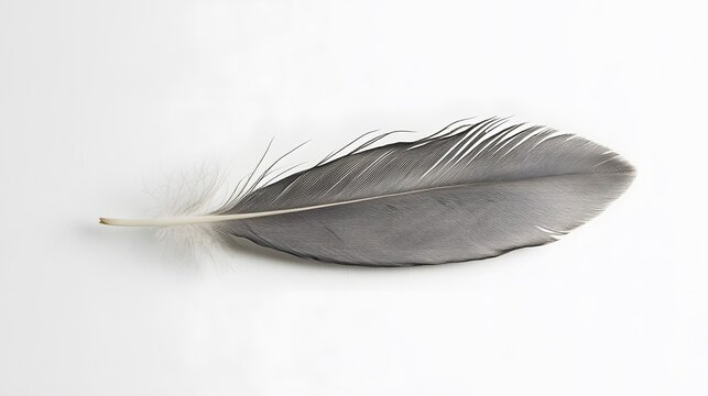 "Fluffy Feather" Images – Browse 227 Stock Photos, Vectors, and Video ...
