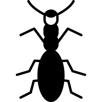 "Rove Beetle" Images – Browse 459 Stock Photos, Vectors, and Video ...