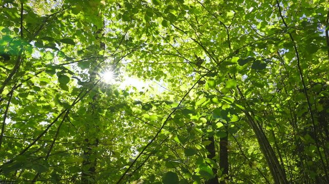 Dosh Images – Browse 1,376 Stock Photos, Vectors, and Video | Adobe Stock