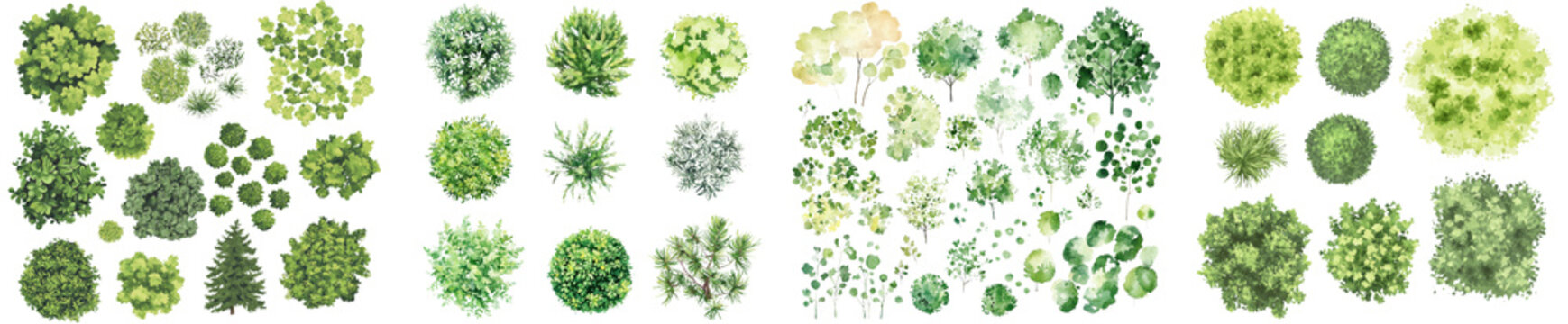 Tree Plan View Images – Browse 133,188 Stock Photos, Vectors, and Video ...